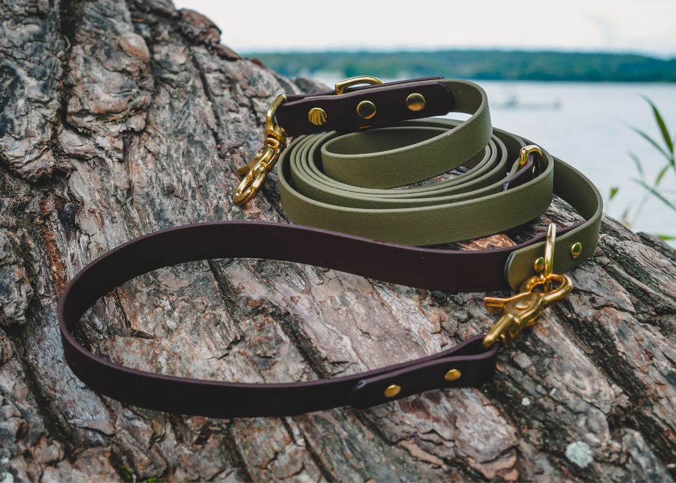 Multi Leash | 4-in-1 – The Everydog Co.